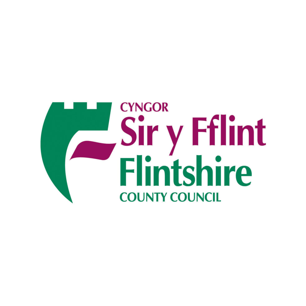 Cronfa Ffyniant Gyffredin: Gogledd Cymru - Brandio